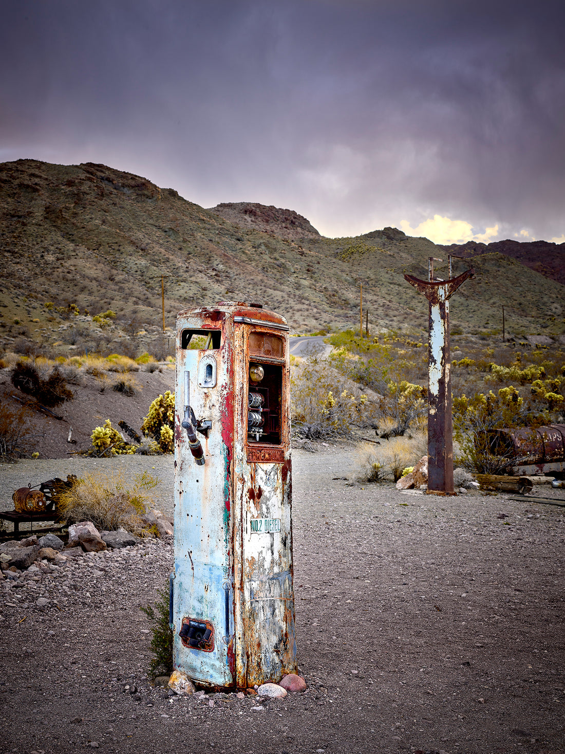 Limited Edition | Bowser In The Desert – David Beavis Fine Art