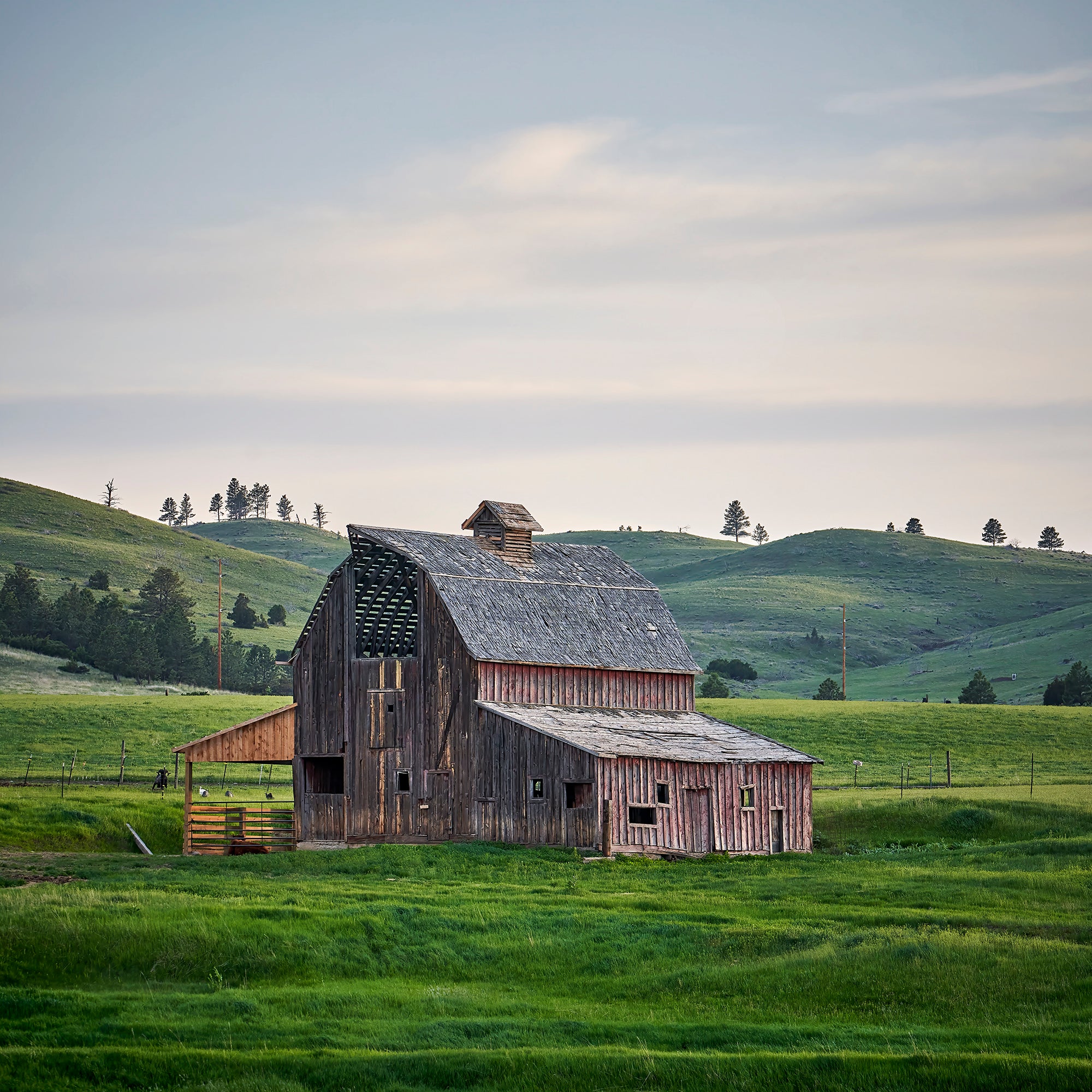 The Homestead Barn Print – David Beavis Fine Art