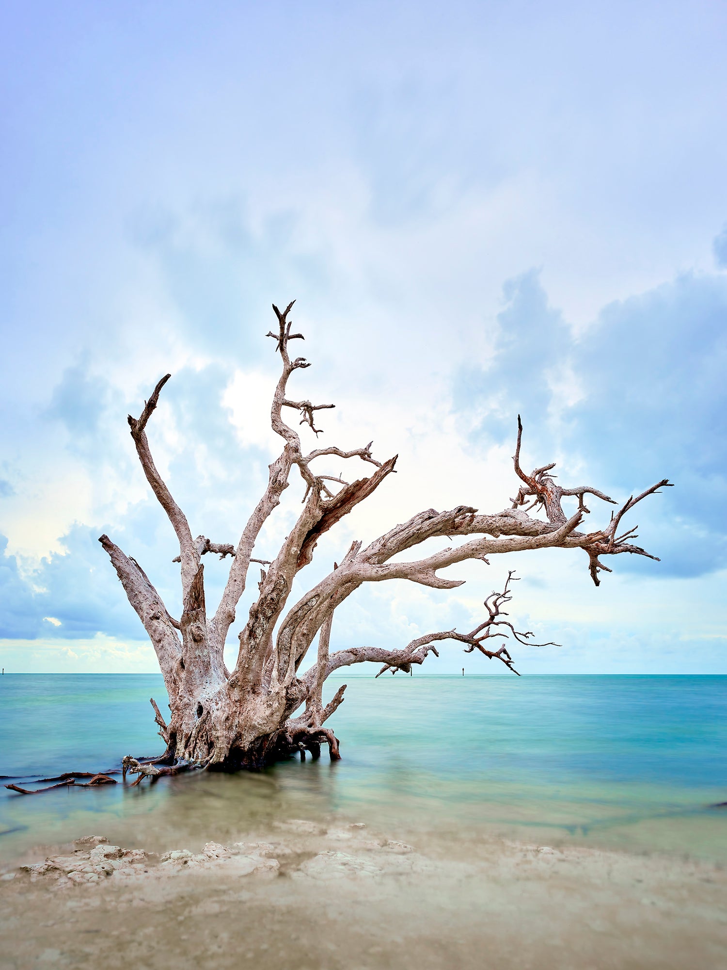 Against All Odds Print – David Beavis Fine Art