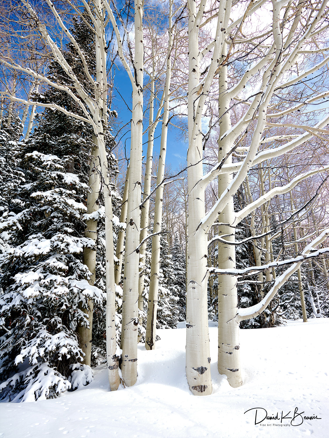 Ethereal Print – David Beavis Fine Art