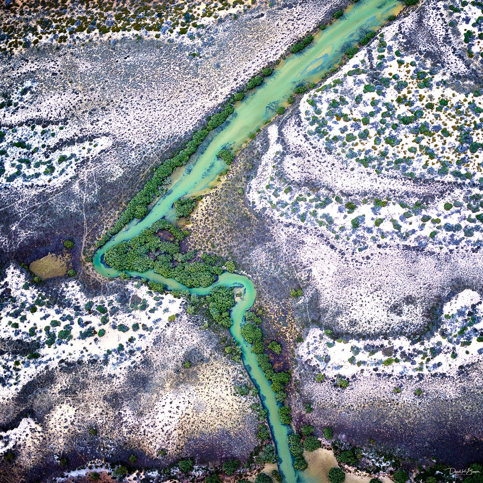 Jade – David Beavis Fine Art