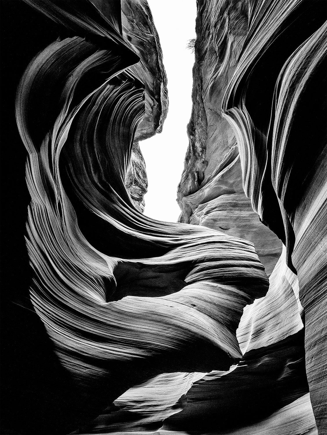 Lady in the Wind Print – David Beavis Fine Art