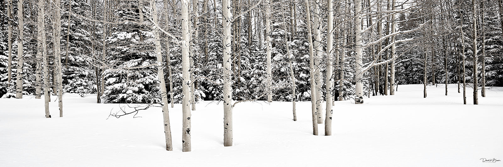 Silence Print – David Beavis Fine Art