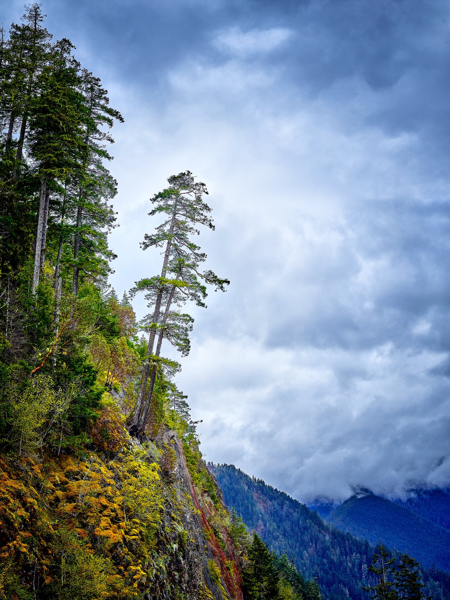 Standing Out – David Beavis Fine Art