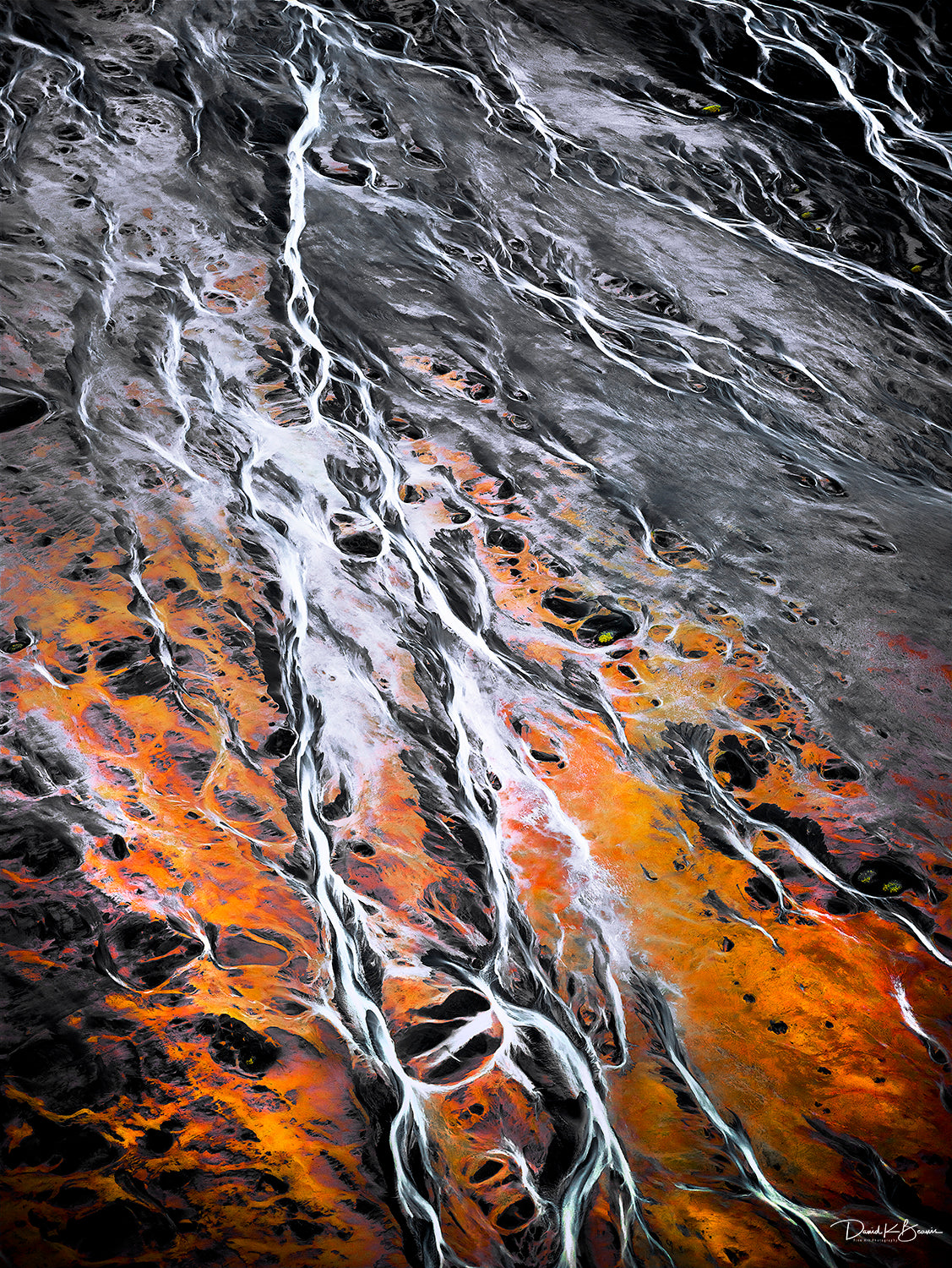 The Wolf – David Beavis Fine Art