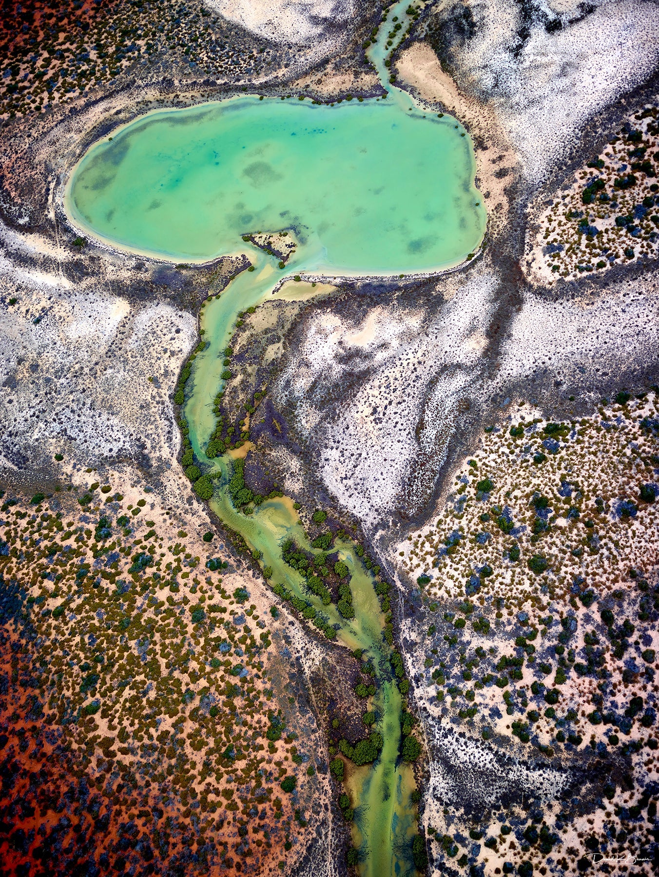 Under the Southern Sky Print – David Beavis Fine Art