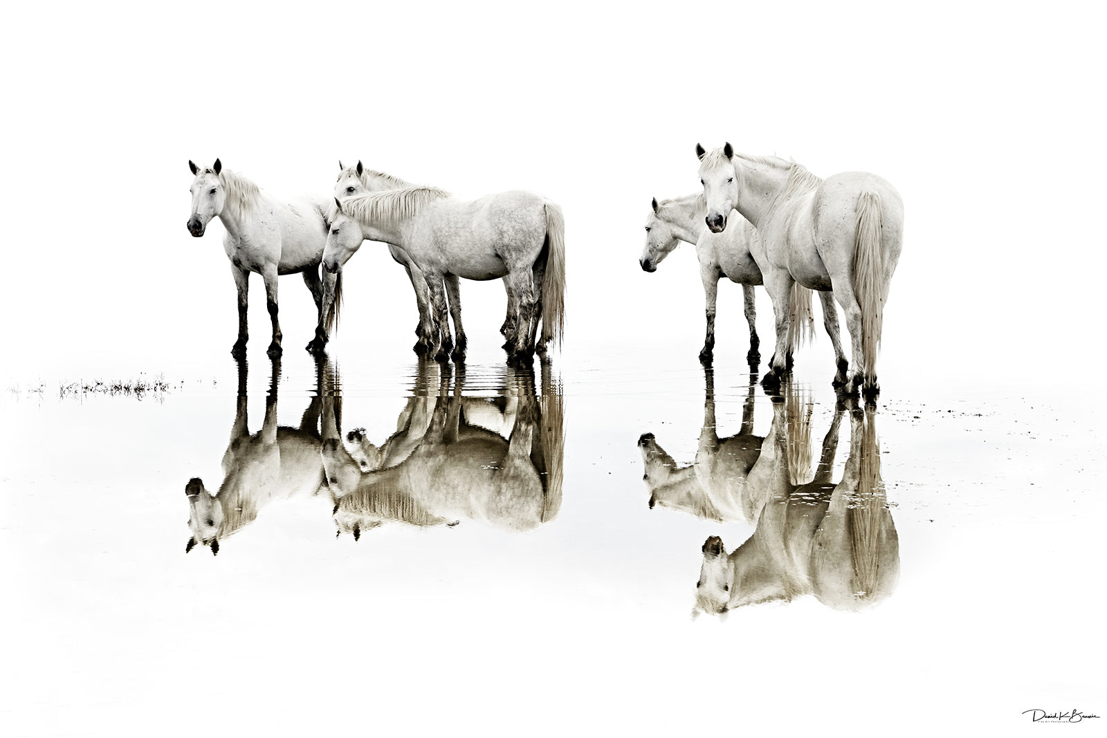 Upon Reflection – David Beavis Fine Art