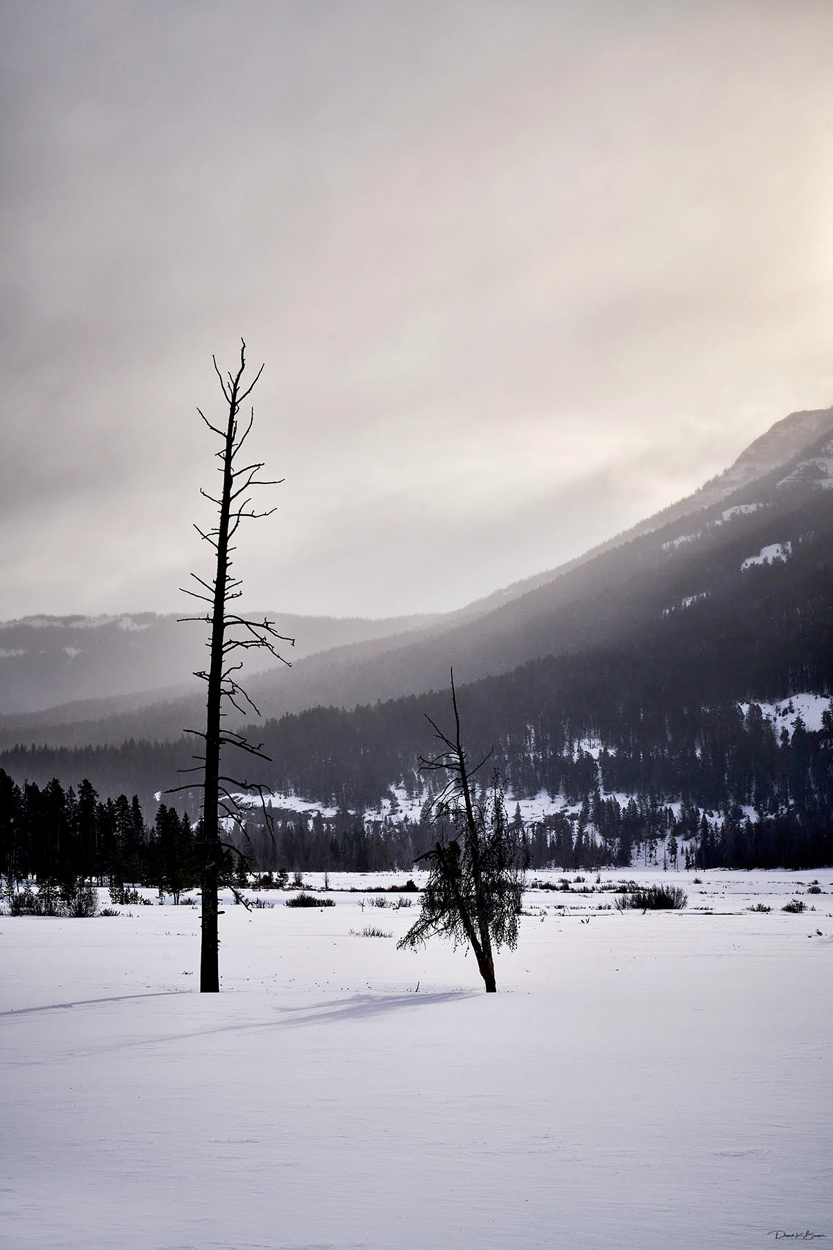 Winter Solace Print – David Beavis Fine Art